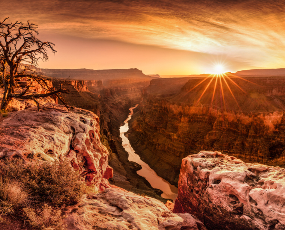 Arizona Sign Association